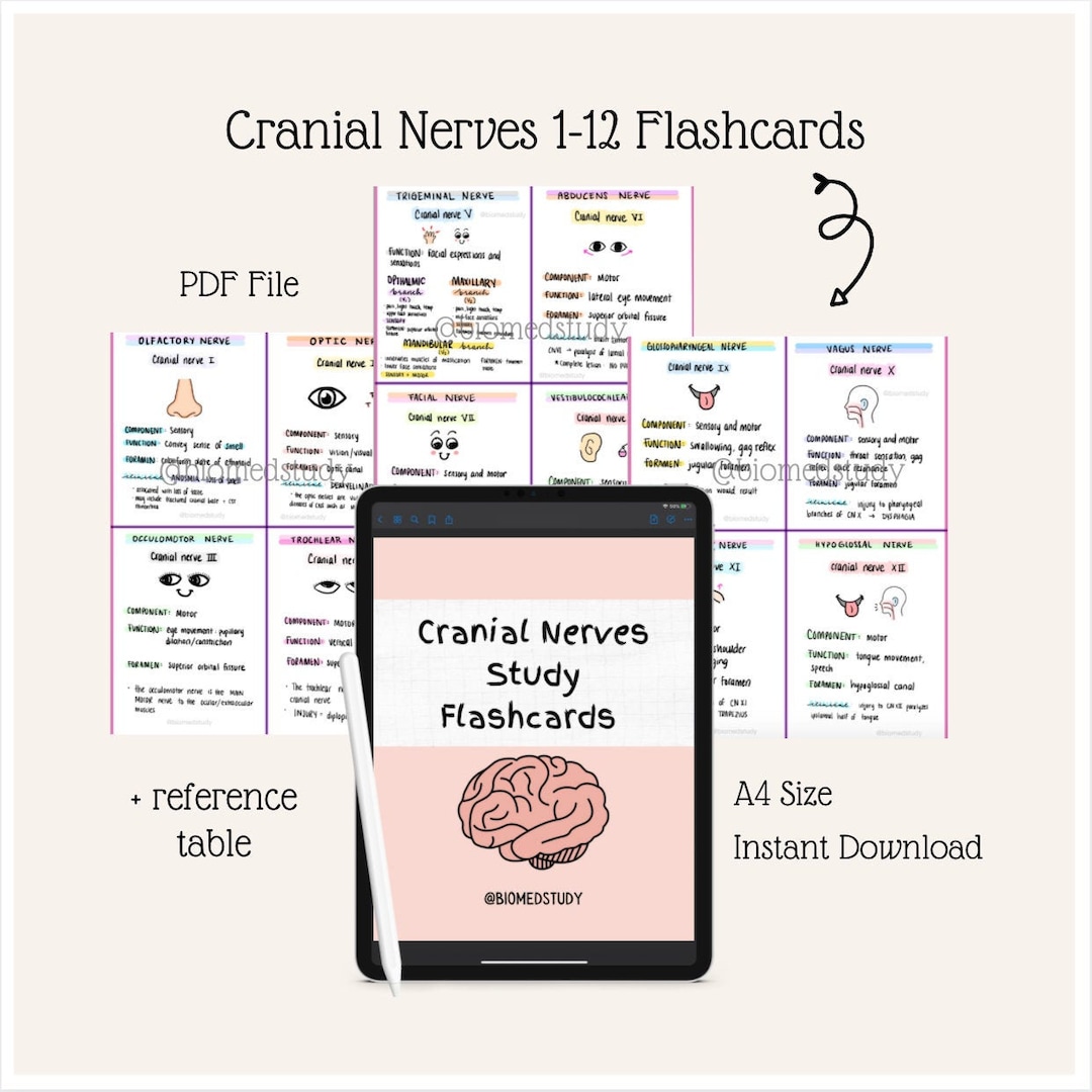 Anatomy and Physiology Cranial Nerve Study Flashcards | Cranial Nerves ...