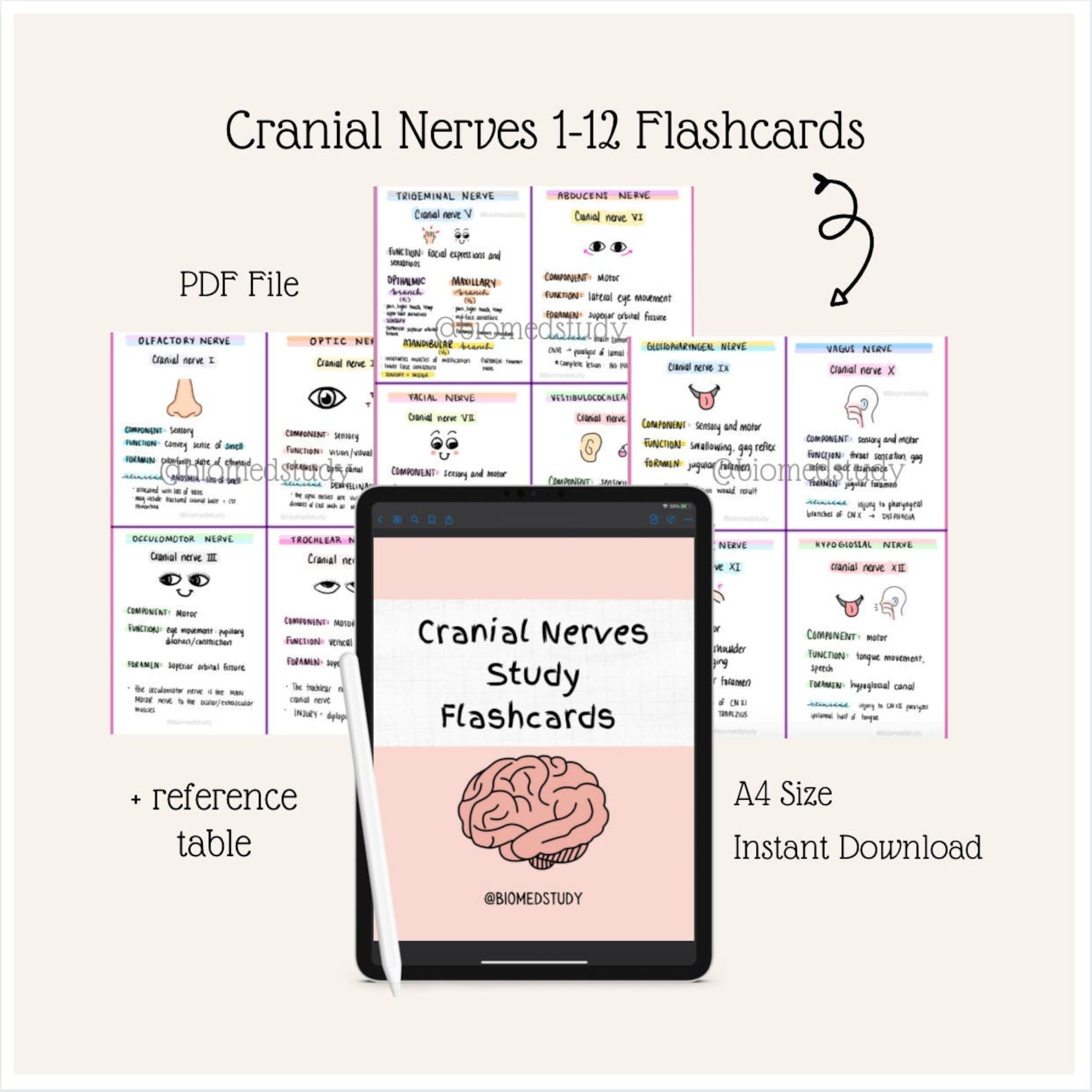 Anatomy and Physiology Cranial Nerve Study Flashcards | Cranial Nerves ...