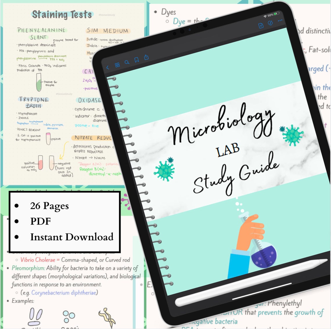 Microbiology Lab Study Guide | Microbiology Notes Bundle - Etsy