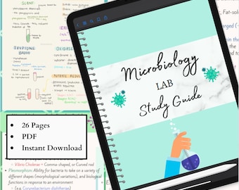 Sensory Physiology Notes Anatomy and Physiology Sensory - Etsy