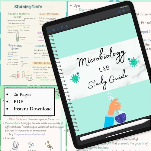 Microbiology Notes / Study Guide for Nursing Students 80 Pages - Etsy