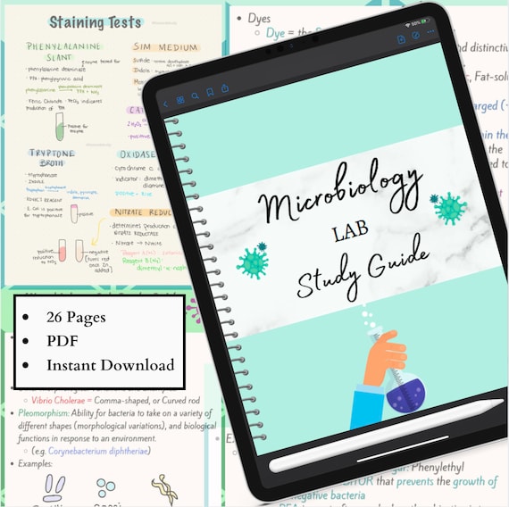 Microbiology Lab Study Guide Microbiology Notes Bundle - Etsy