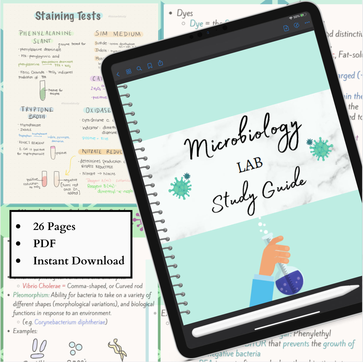 Microbiology Lab Study Guide | Microbiology Notes Bundle - Etsy