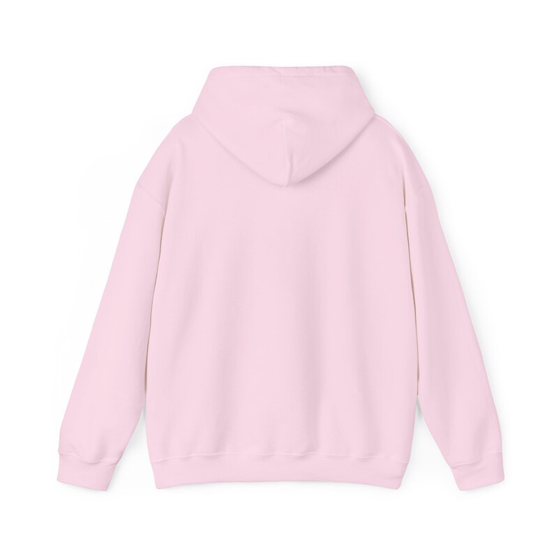 Teddy Bear Hoodie to Match Retro 11 Legends Pink, Jordan 11 Legends ...