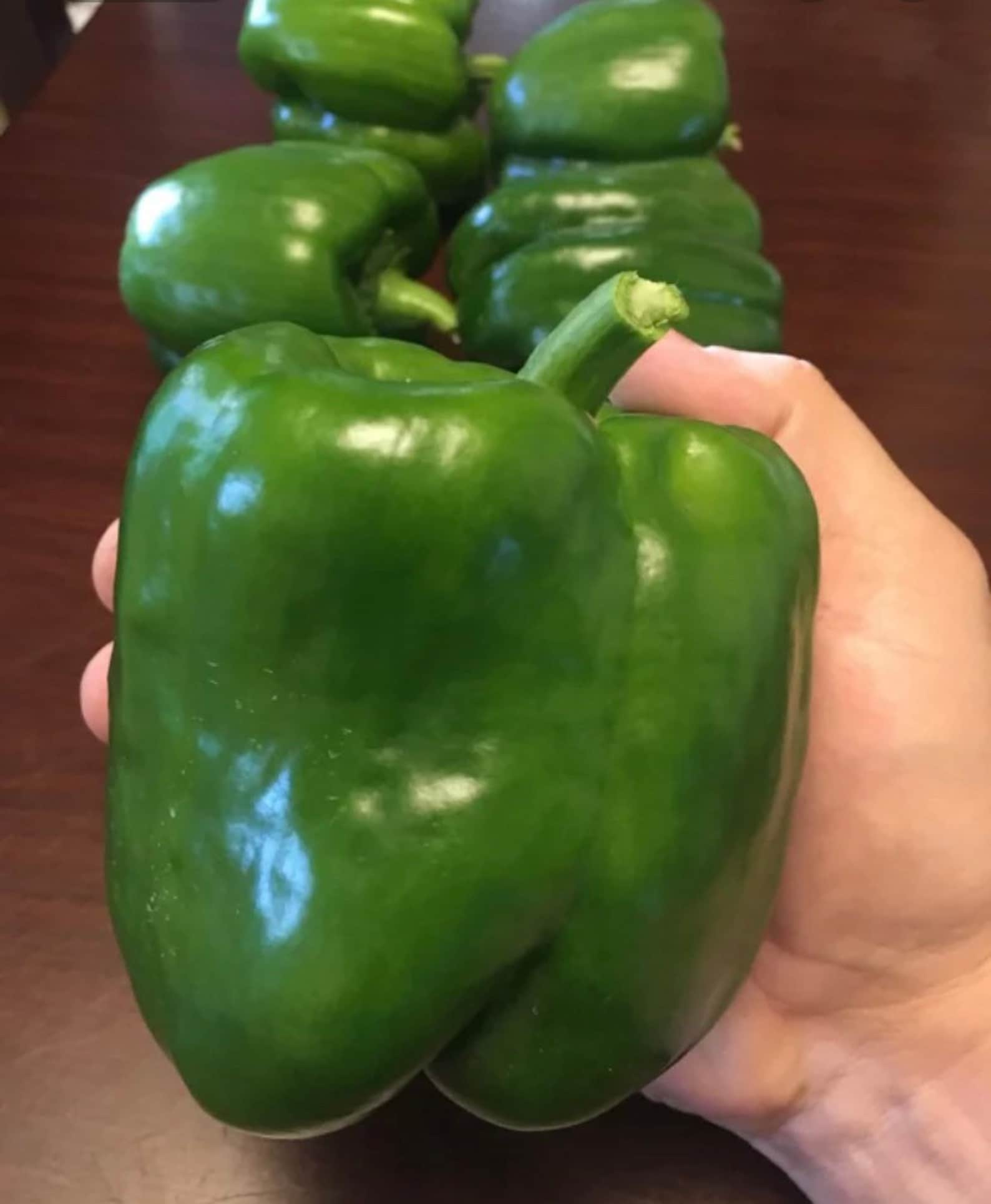 Giant Bell Pepper Seeds (300 Seeds) - Etsy