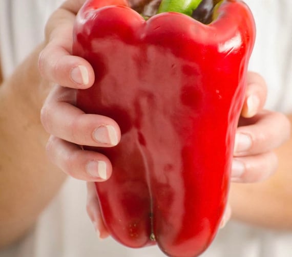 MEGA Bell Pepper Pack 1000 Seeds - Etsy