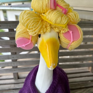 Robe and Curlers Set - Etsy