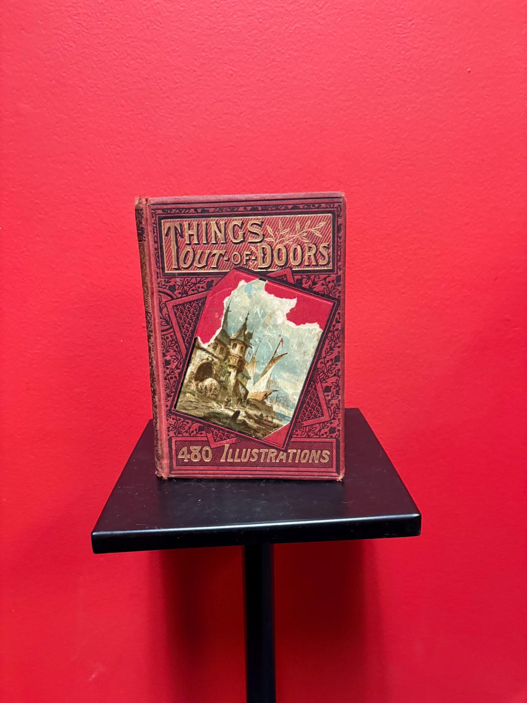 Antique - Things Out of Doors Book - With Cracked Spine and Damaged ...