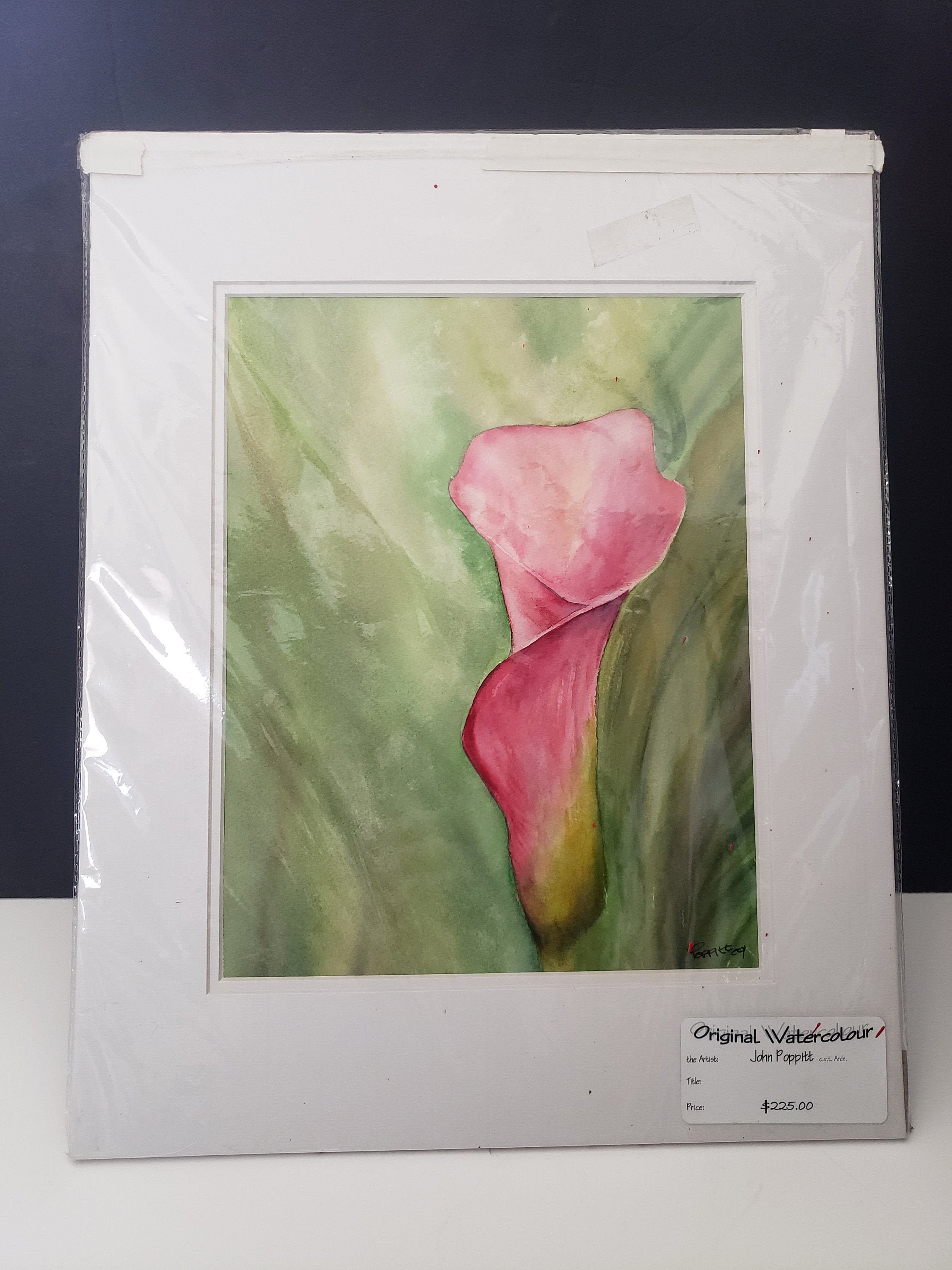 Painting Orginal John Poppitt Watercolour Painting Art & Collectibles ...