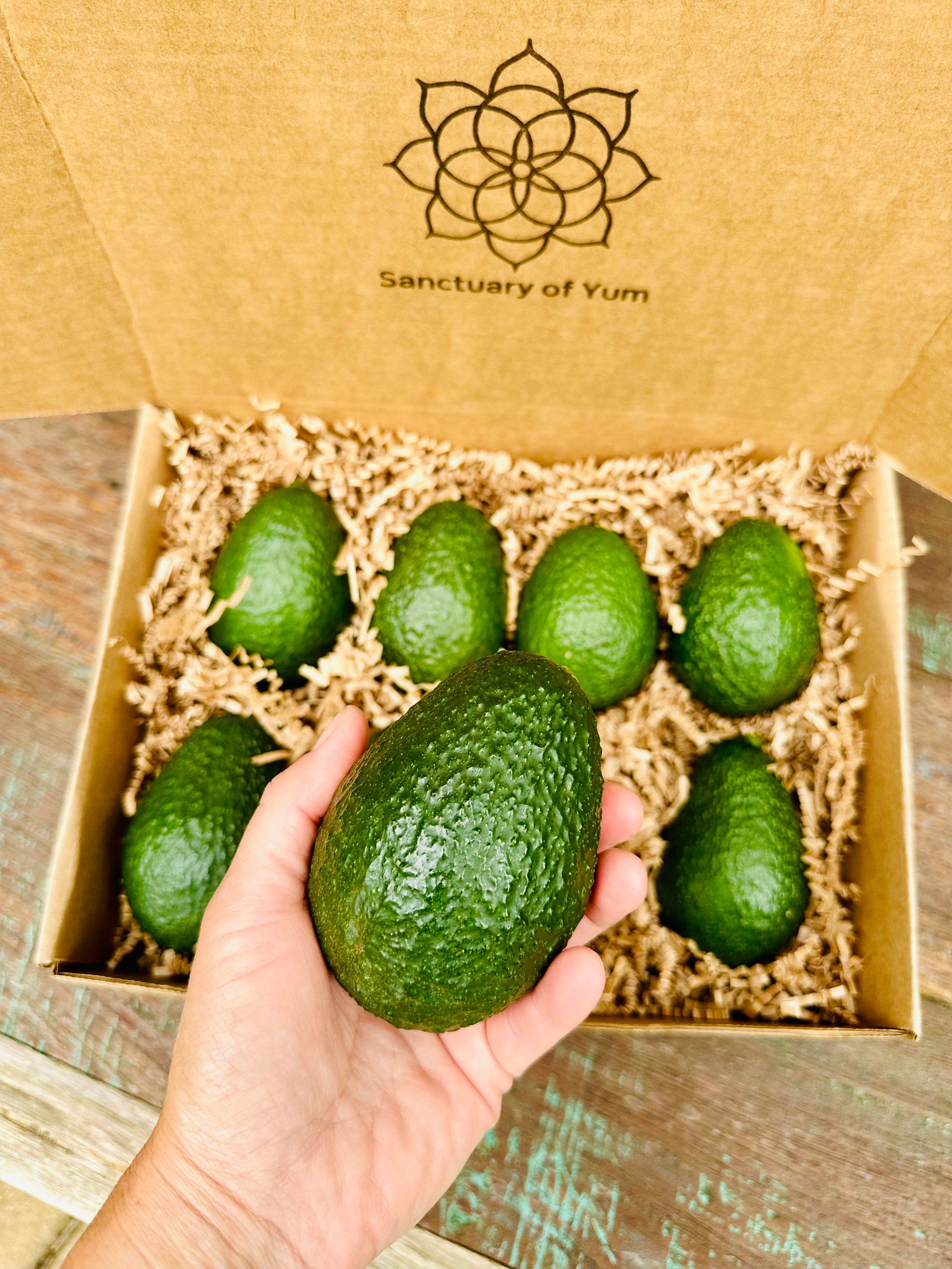 Organic Hass Avocado Fruit Gift Box California Grown - Etsy