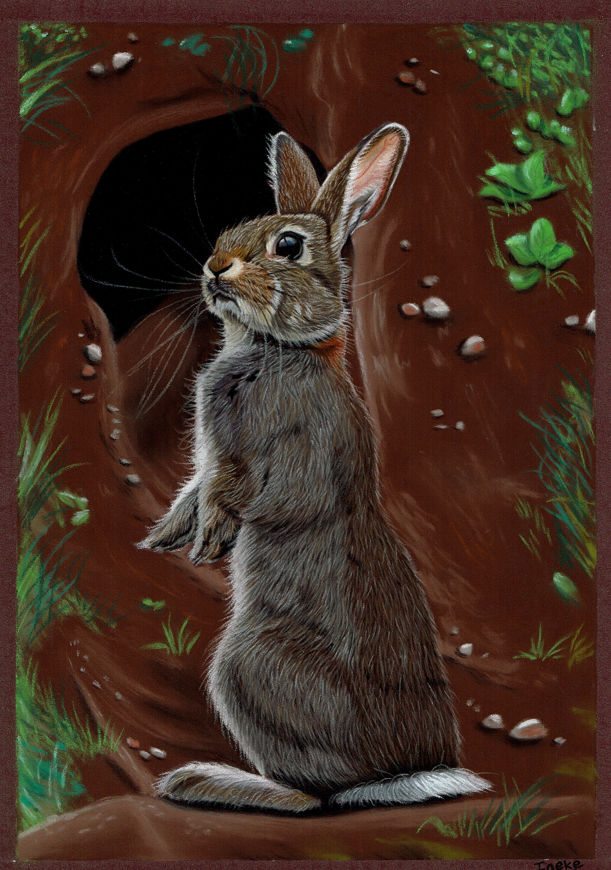 Fiver Watership Down Inspired A4 Art Print - Etsy