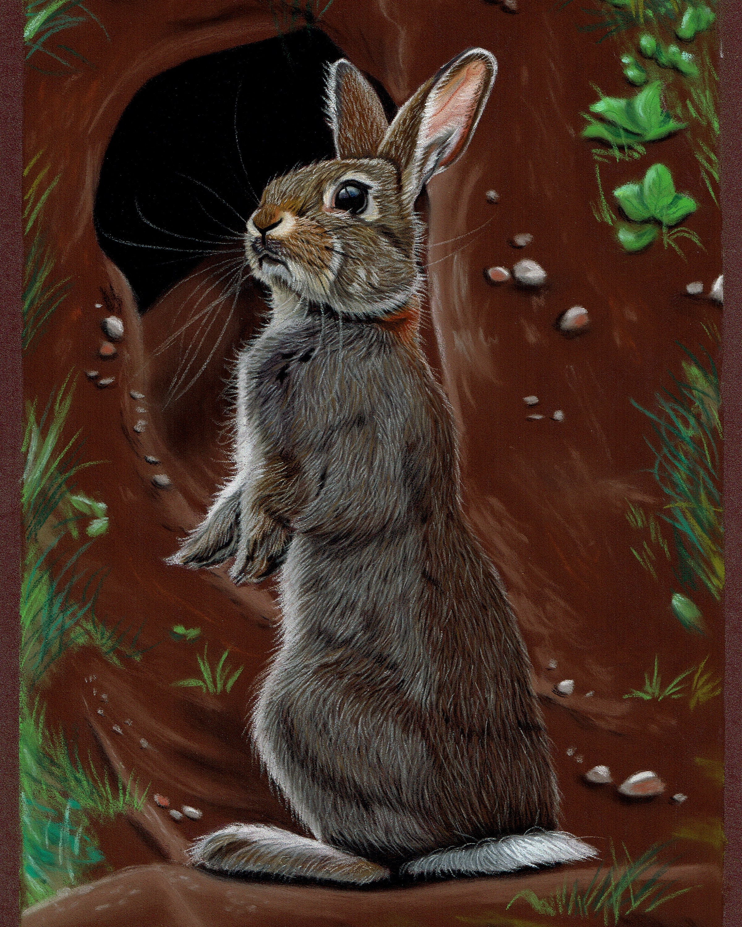 Fiver Watership Down Inspired A4 Art Print - Etsy