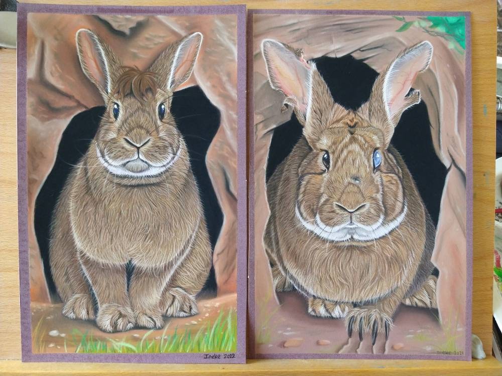 Bigwig & Woundwort 2x A4 Art Print Watership Down Inspired - Etsy