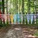 Canadian Province Pennant SASKATCHEWAN Felt Pennant Flag Banner Vintage ...