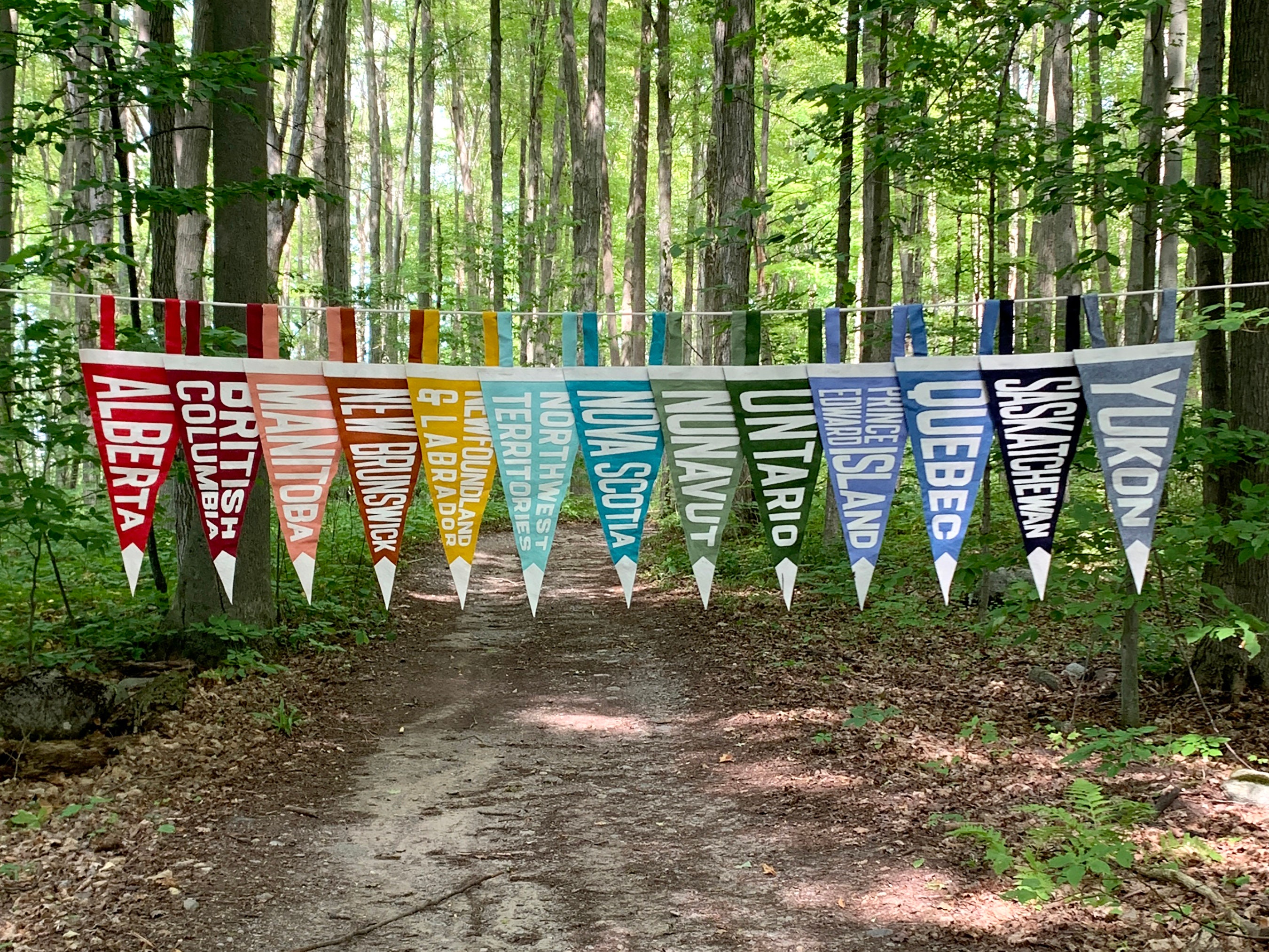 Canadian Province Pennant SASKATCHEWAN Felt Pennant Flag Banner Vintage ...