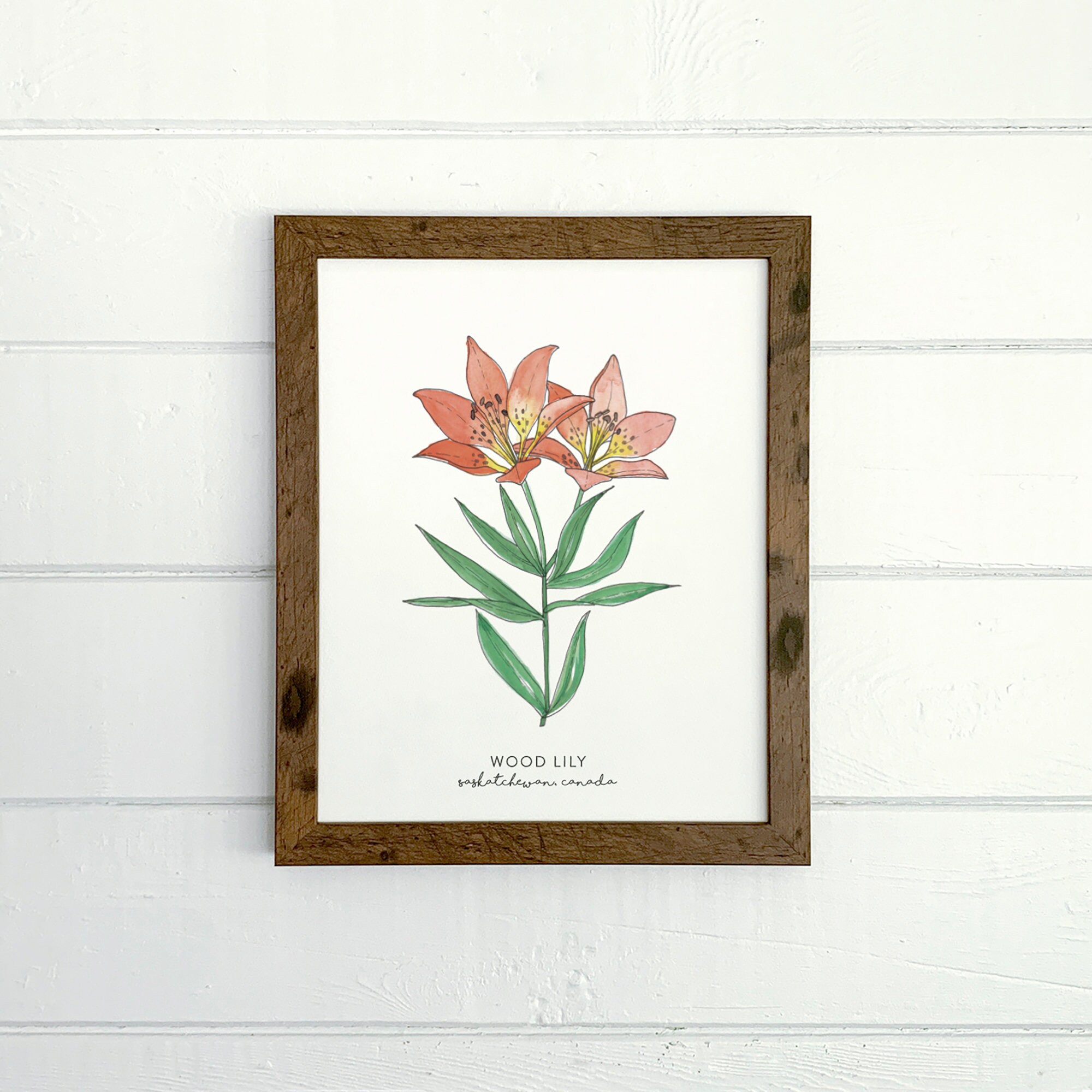 Saskatchewan Flower
