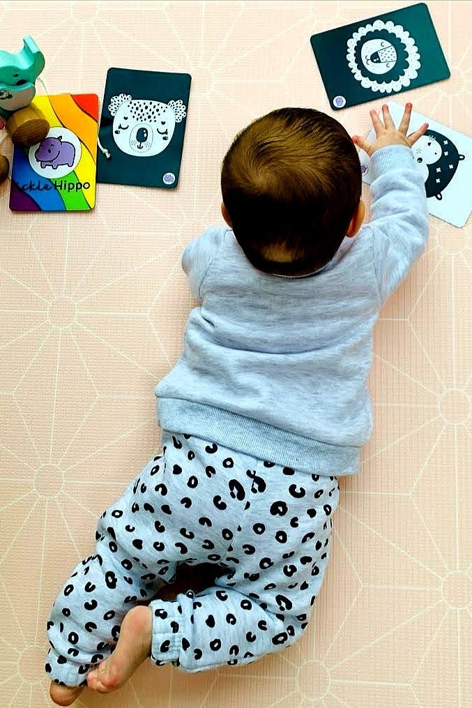 22 Monochrome Sensory Flashcards Nature Perfect for Newborns 44 Designs ...