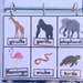 Autism Preschool Learning Binder, Kindergarten Busy Book, Zoo Animal ...