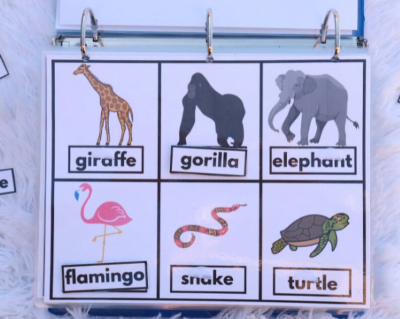 Autism Preschool Learning Binder, Kindergarten Busy Book, Zoo Animal ...