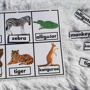 Autism Preschool Learning Binder, Kindergarten Busy Book, Zoo Animal ...
