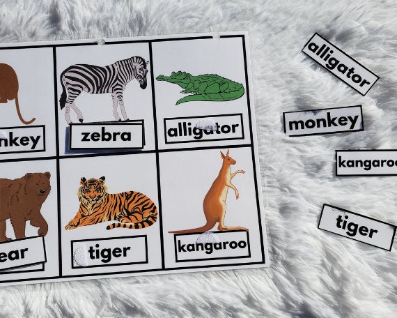 Autism Preschool Learning Binder, Kindergarten Busy Book, Zoo Animal ...