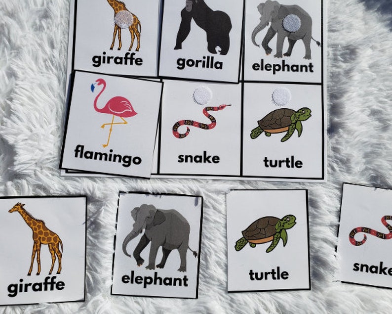 Autism Preschool Learning Binder, Kindergarten Busy Book, Zoo Animal ...