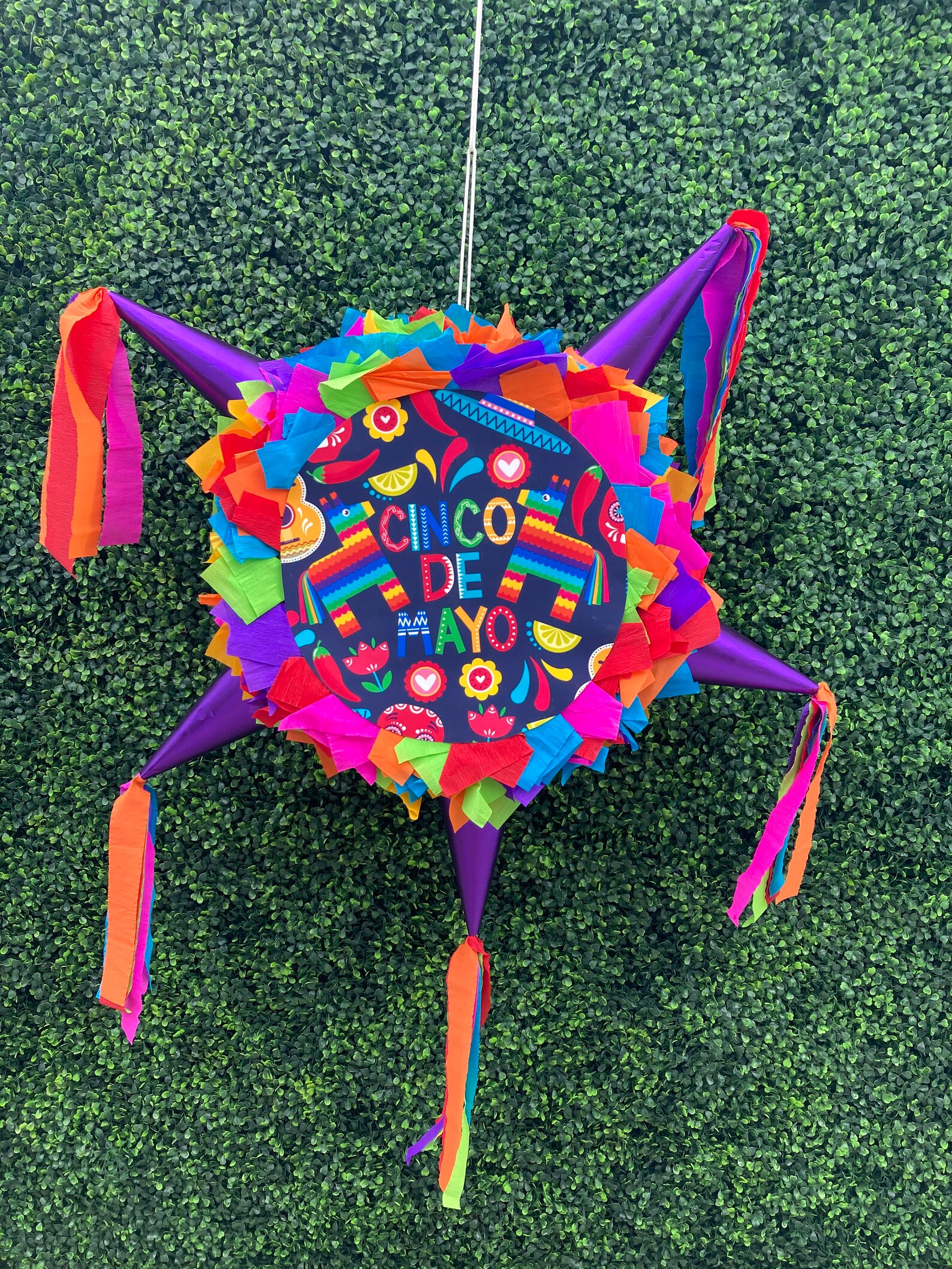 Fiesta Pinata Cinco De Mayo Pinata - Etsy