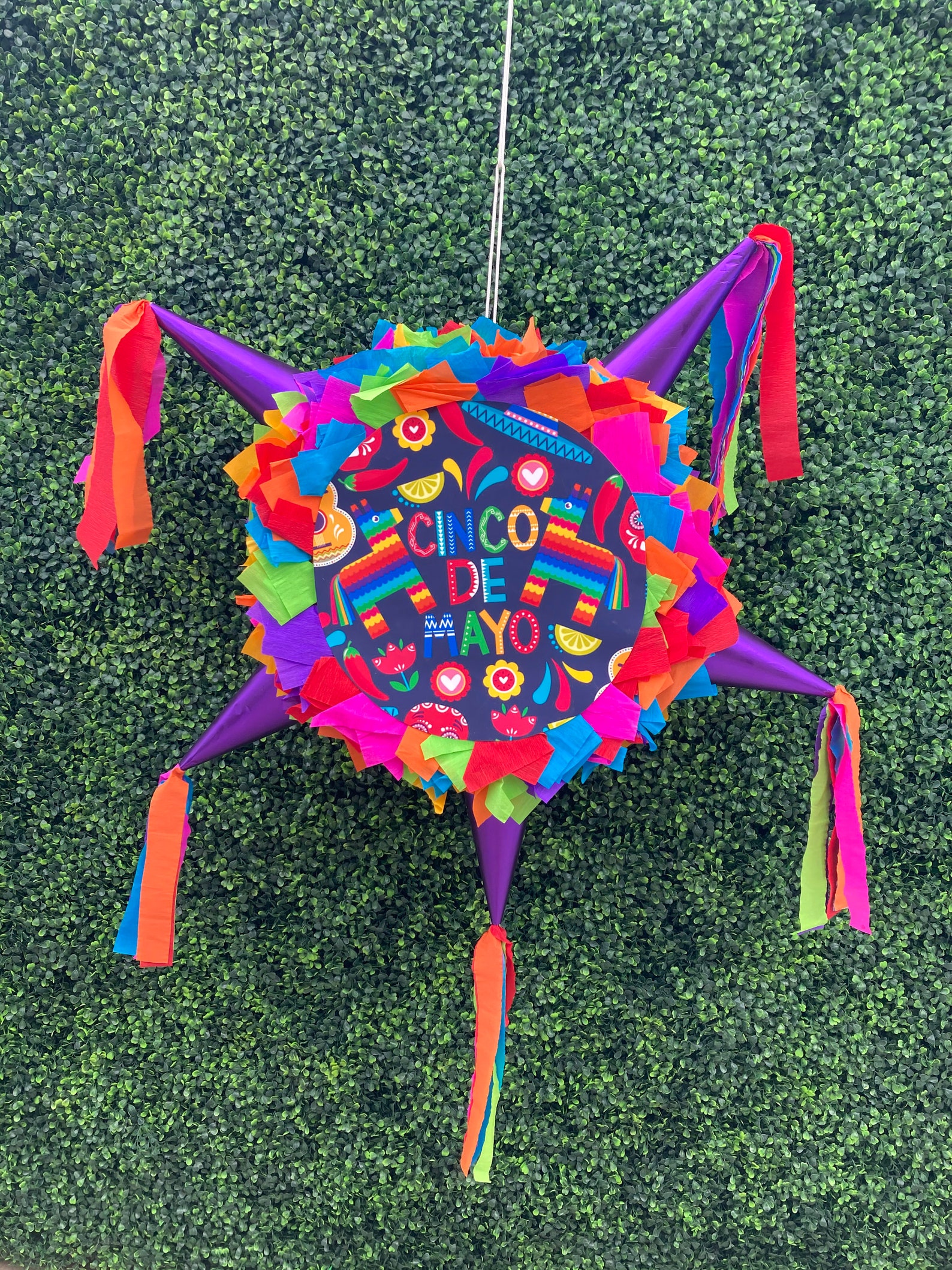 Fiesta Pinata Cinco De Mayo Pinata - Etsy
