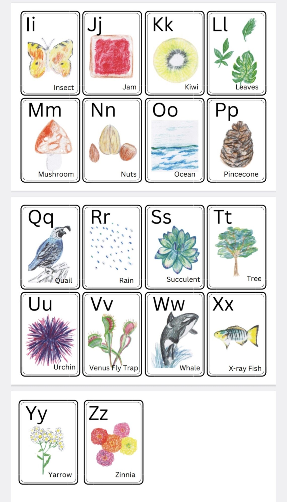 Nature Themed Alphabet Cards - Etsy