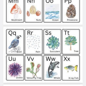 Nature Themed Alphabet Cards - Etsy