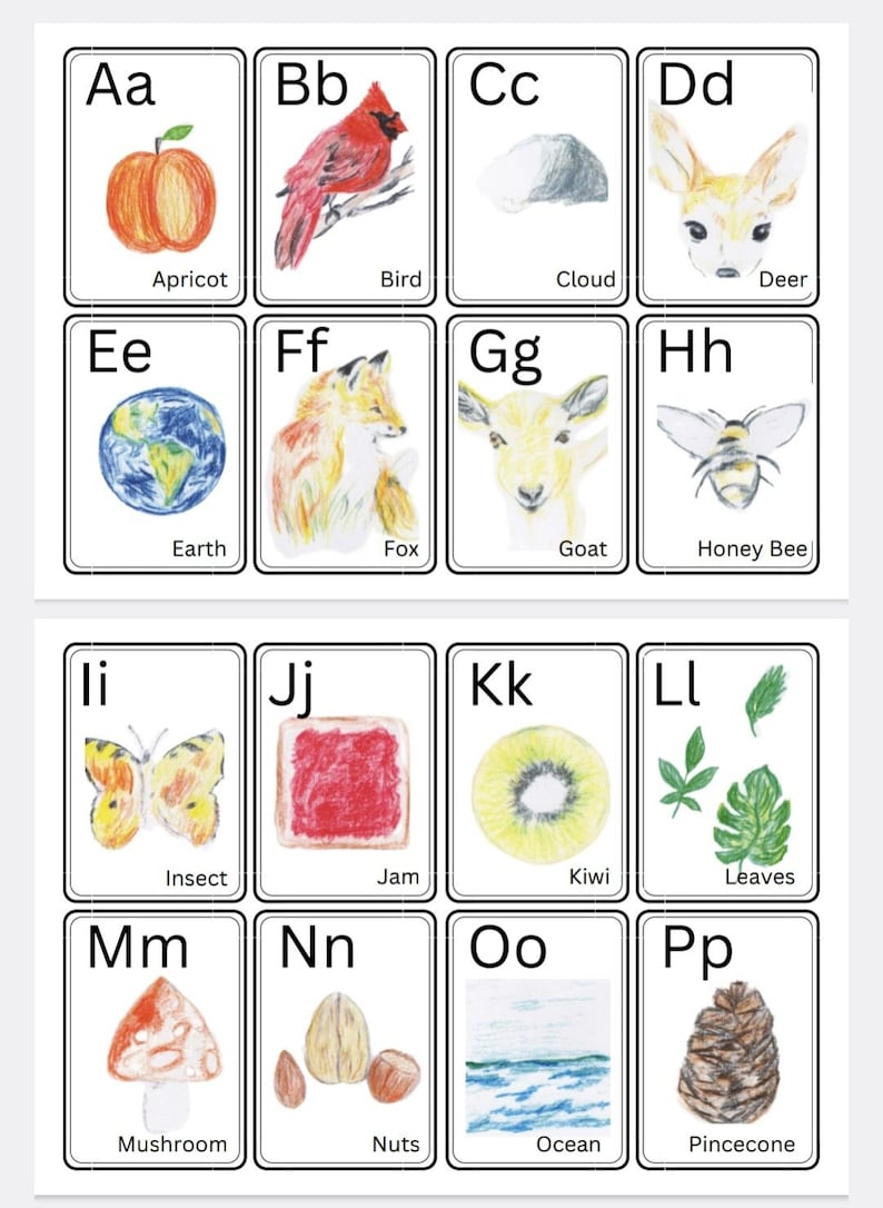 Nature Themed Alphabet Cards - Etsy