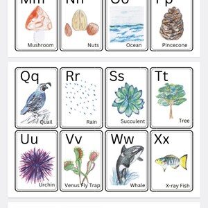 Nature Themed Alphabet Cards - Etsy