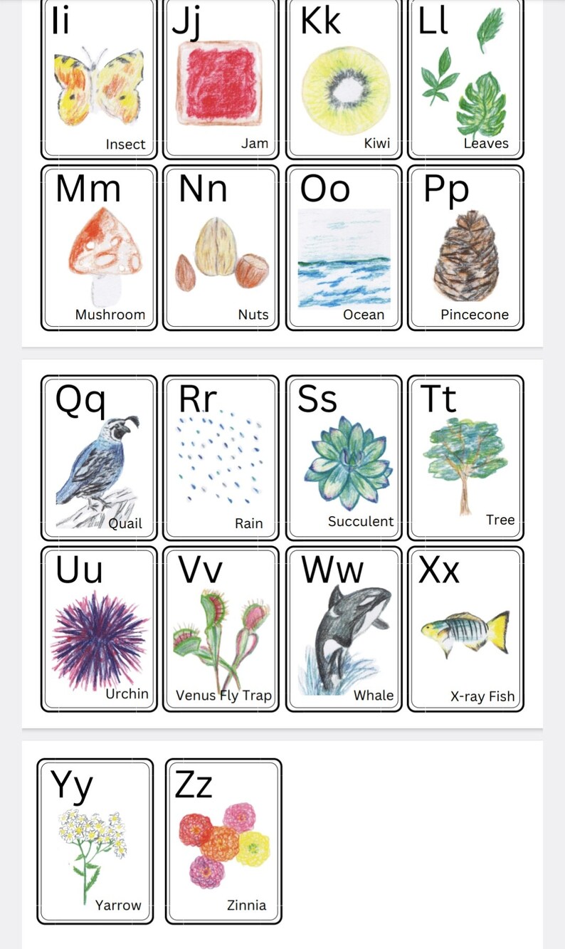 Nature Themed Alphabet Cards - Etsy