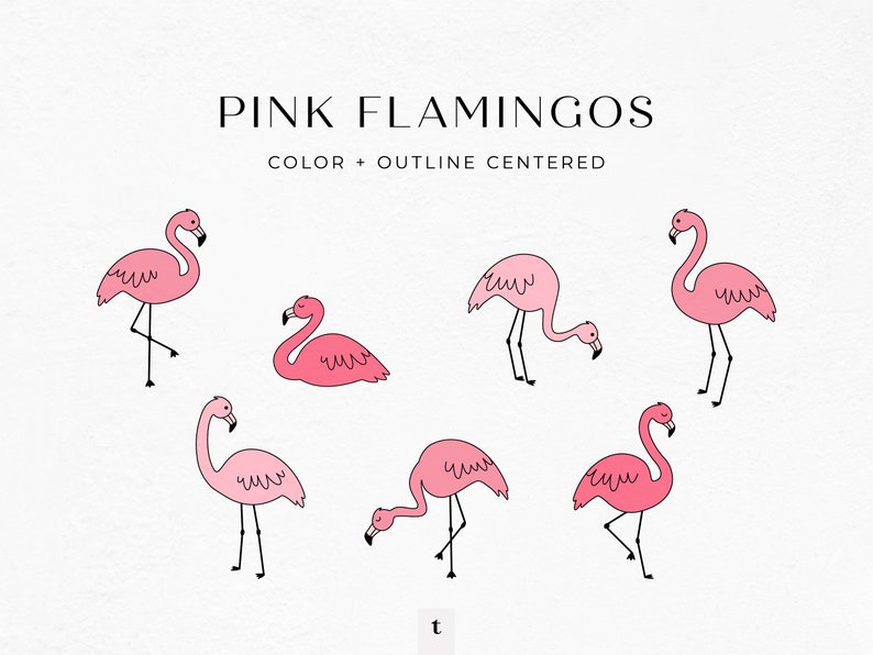 Editable Pink Flamingo Clipart, Flamingo Clipart, Flamingo PNG ...
