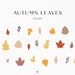 Autumn Leaves Bundle, Autumn Leaves Clipart, Leaves Clipart, Leaves EPS ...