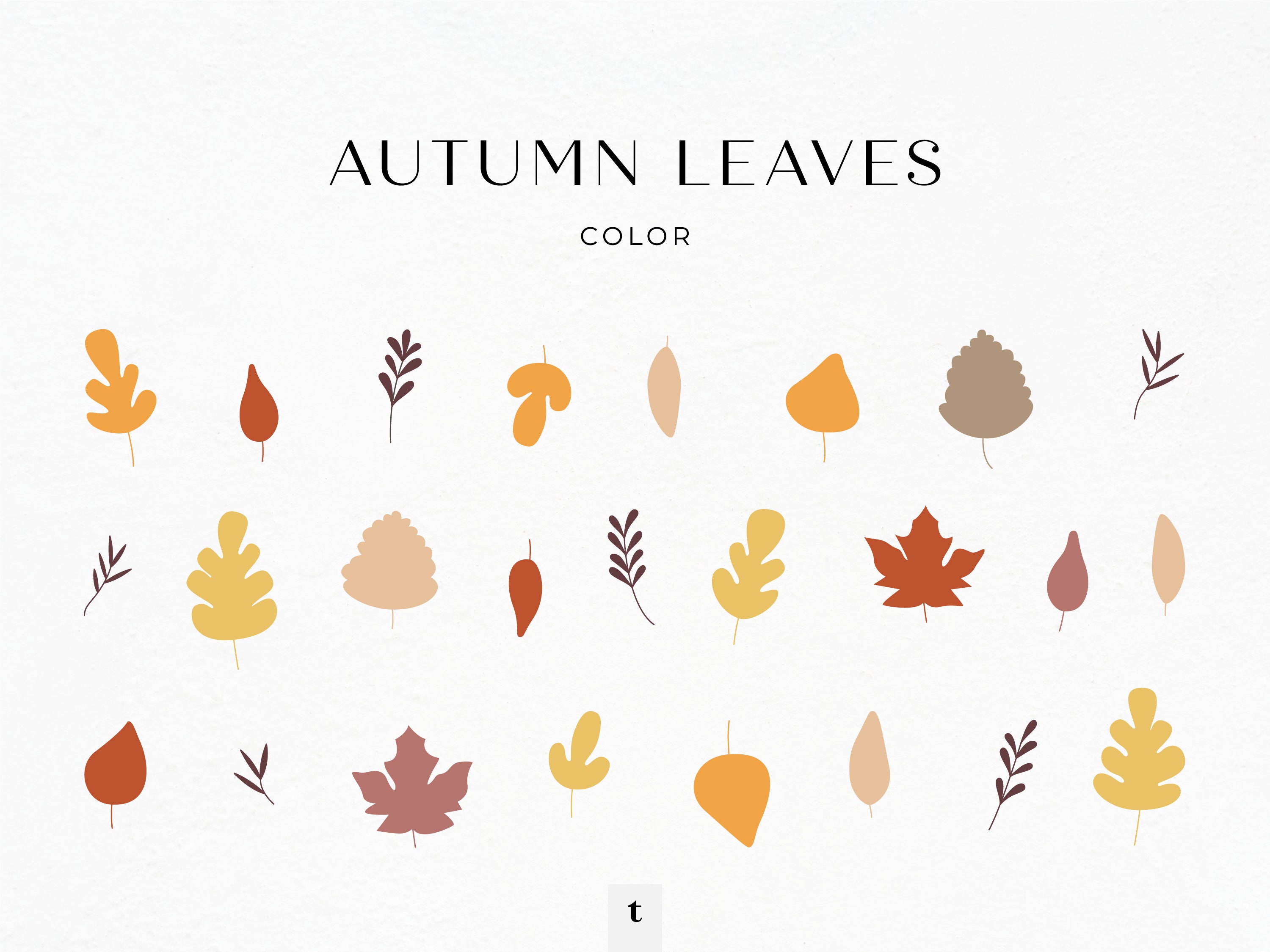 Autumn Leaves Bundle, Autumn Leaves Clipart, Leaves Clipart, Leaves EPS ...