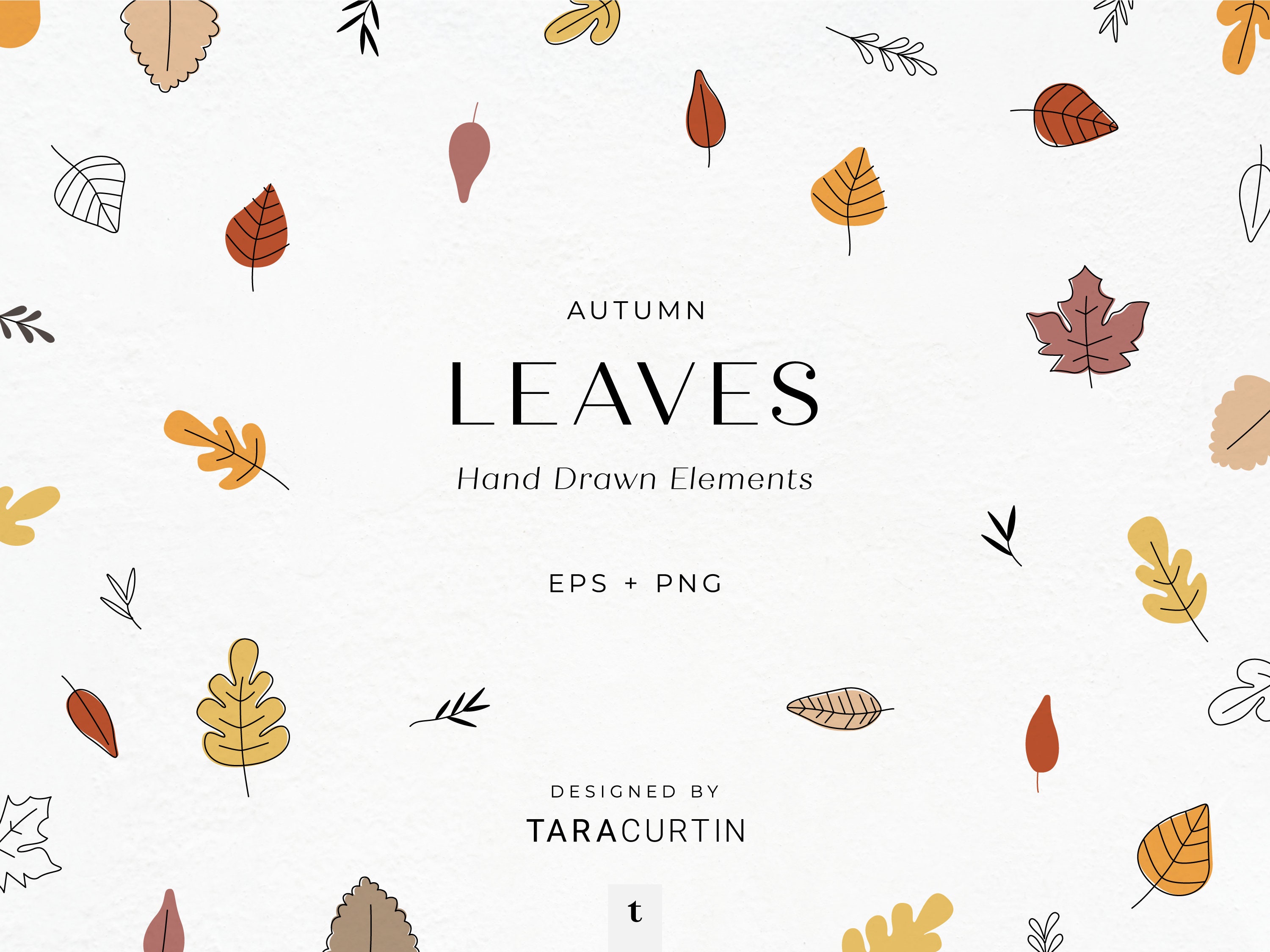 Autumn Leaves Bundle, Autumn Leaves Clipart, Leaves Clipart, Leaves EPS ...