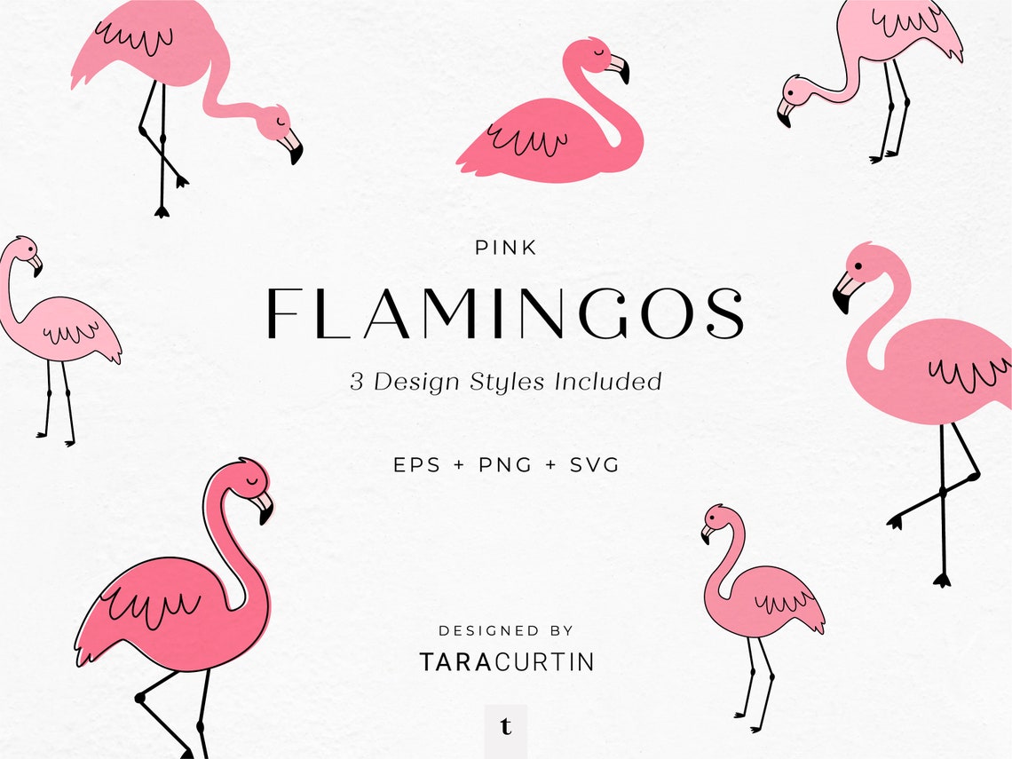 Editable Pink Flamingo Clipart Flamingo Clipart Flamingo | Etsy
