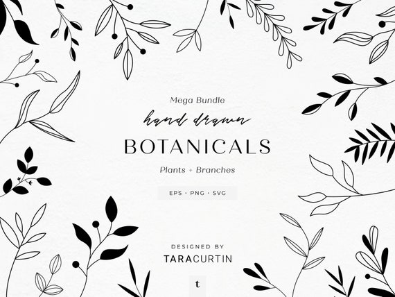 240 Plants and Branches Mega Bundle Plant Clipart Plant - Etsy