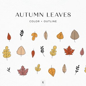 Autumn Leaves Bundle, Autumn Leaves Clipart, Leaves Clipart, Leaves EPS ...