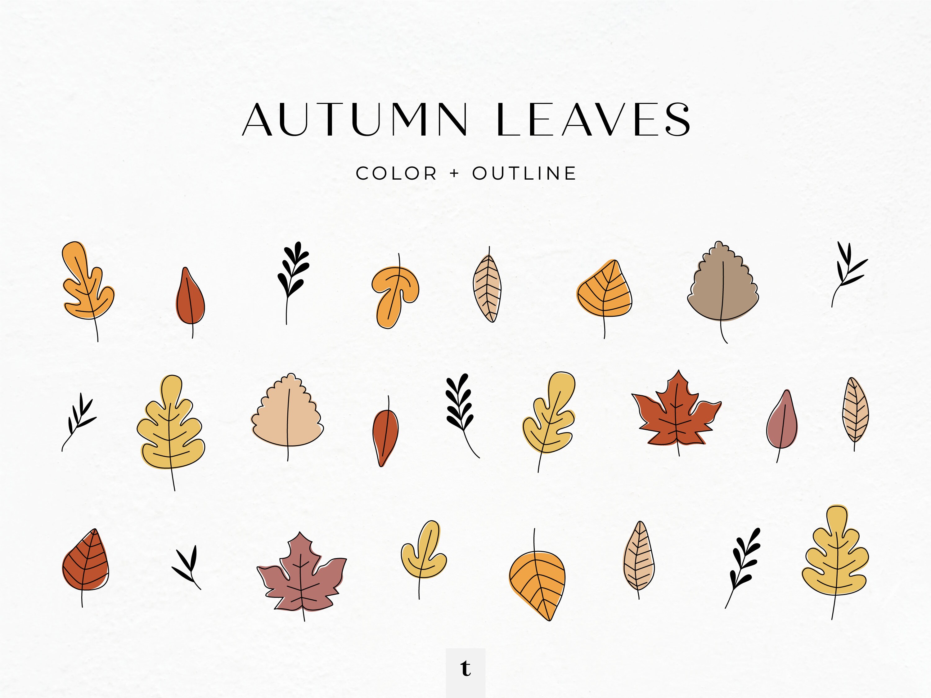 Autumn Leaves Bundle, Autumn Leaves Clipart, Leaves Clipart, Leaves EPS ...