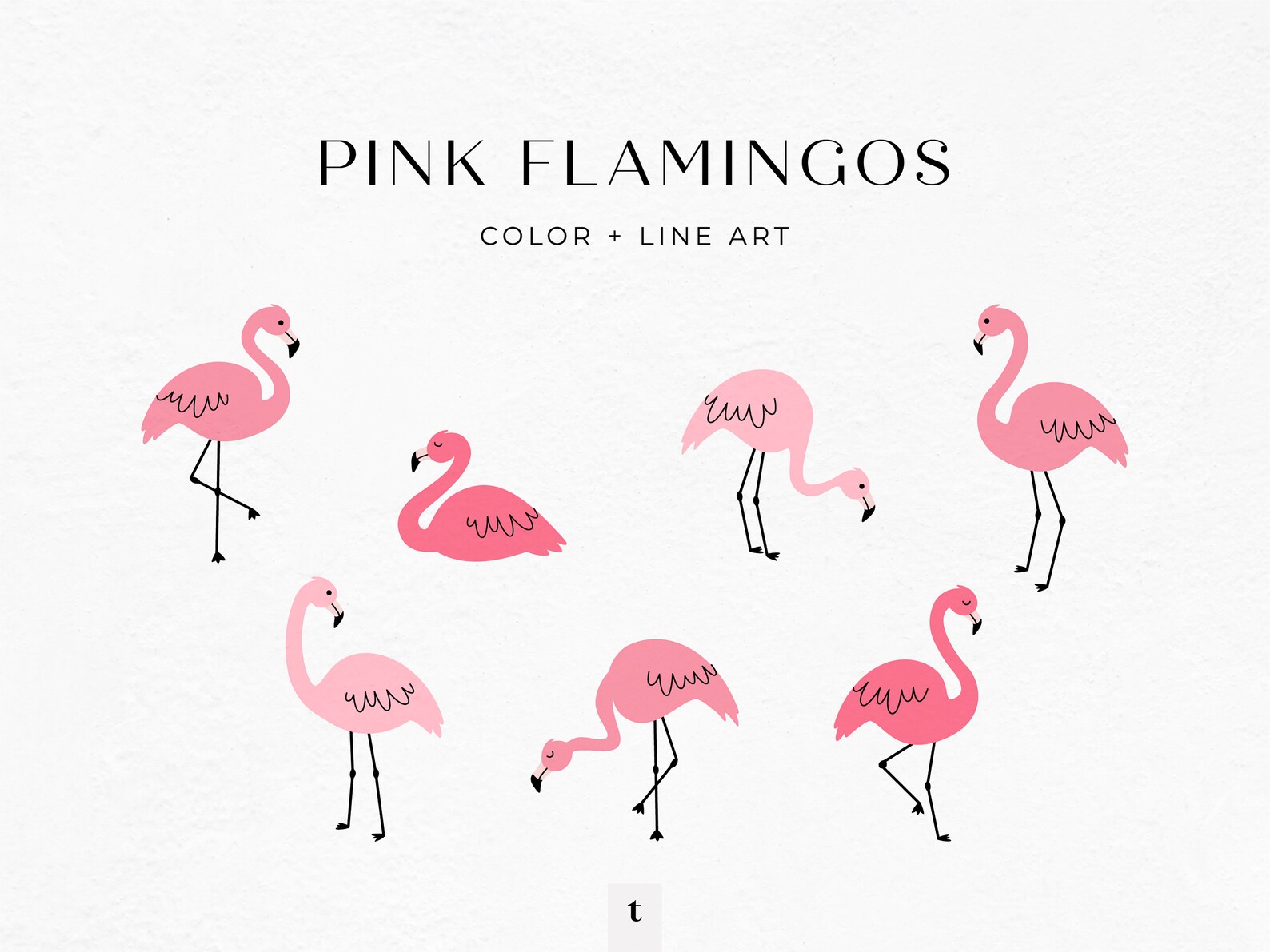 Editable Pink Flamingo Clipart, Flamingo Clipart, Flamingo PNG ...
