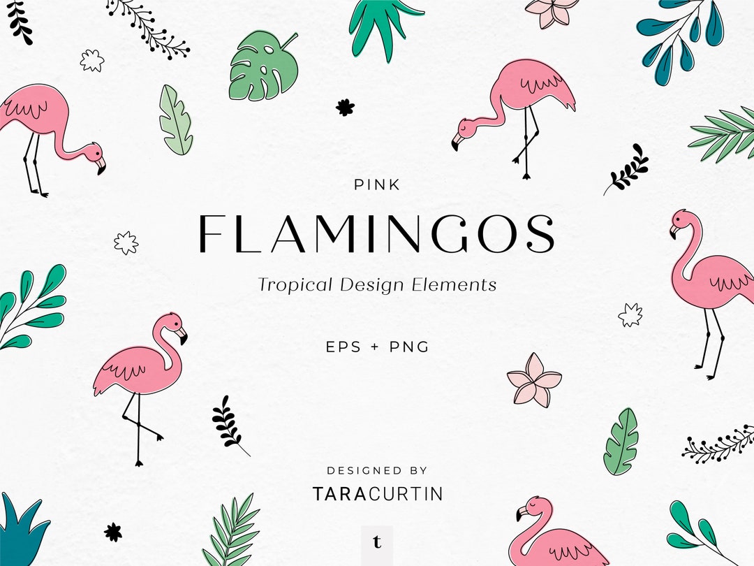 Pink Flamingos Tropical Design Elements, Flamingo Clipart, Flamingo PNG ...