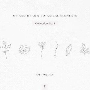Line Art Botanicals, Collection No. 1, Hand Drawn Plants, Plant Clipart ...