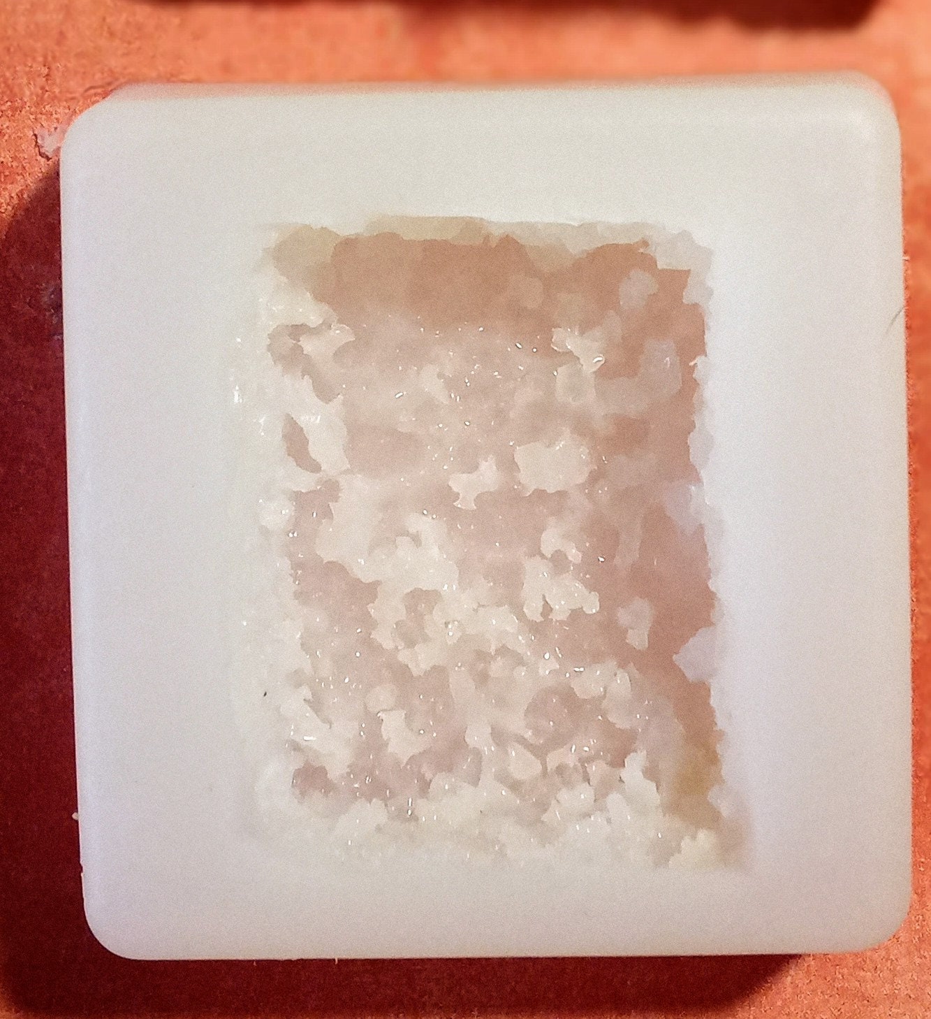 Rice Krispie Treats Type Mold Realistic Food Mold Rice | Etsy