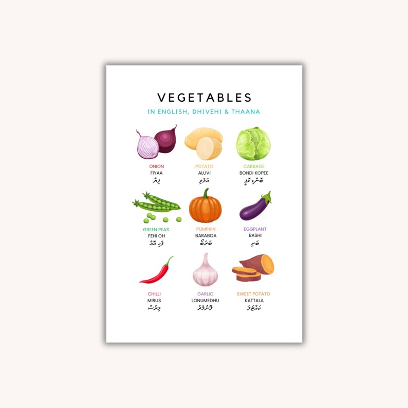 English to Dhivehi and Thaana (maldivian) Educational Posters ...