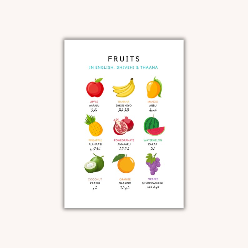 English to Dhivehi and Thaana (maldivian) Educational Posters ...