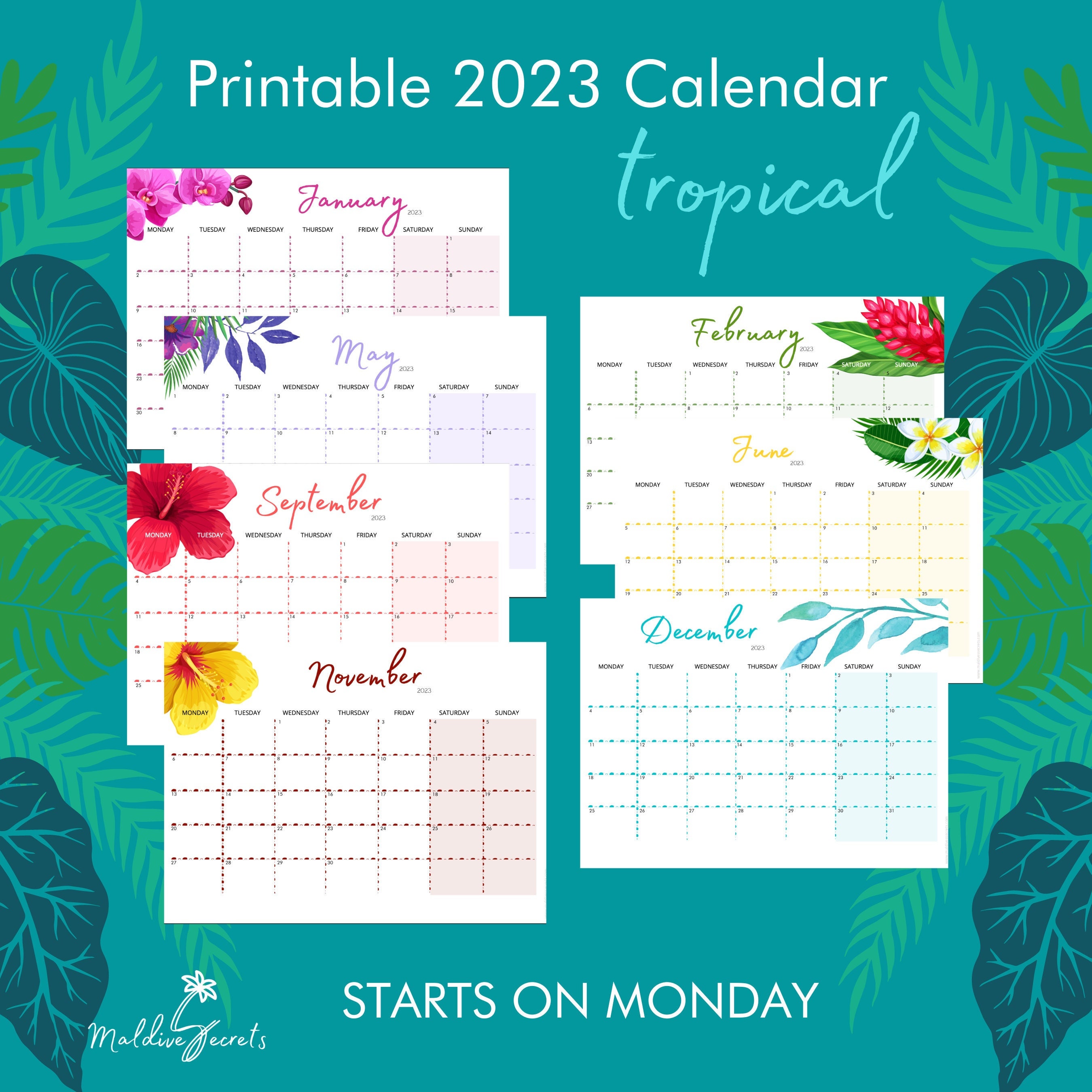 2023 Printable Calendar Monday Starting / Tropical / A4 or A3 / Monthly ...