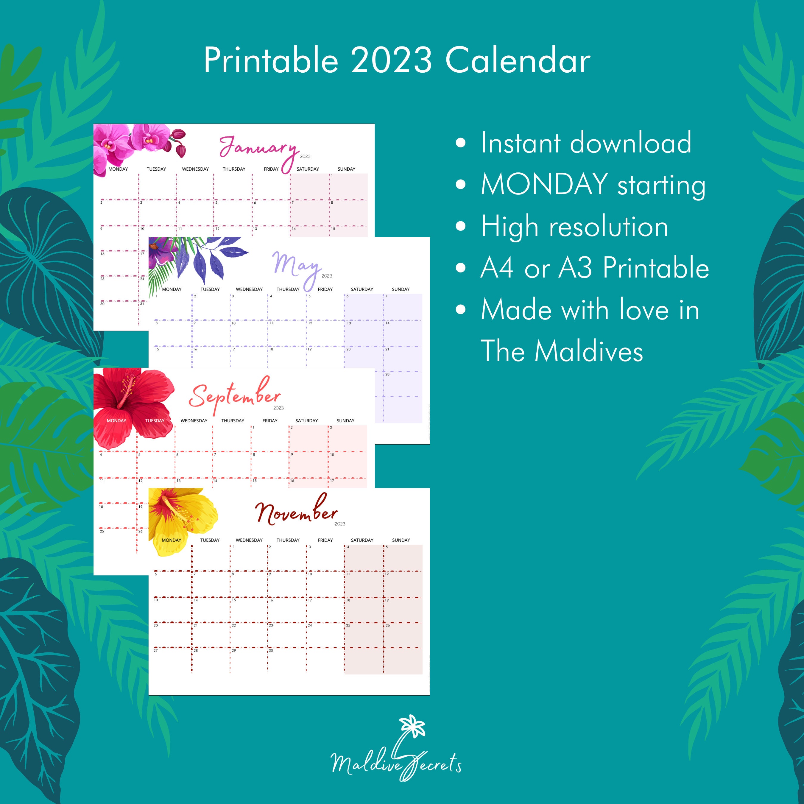 2023 Printable Calendar Monday Starting / Tropical / A4 or A3 / Monthly ...