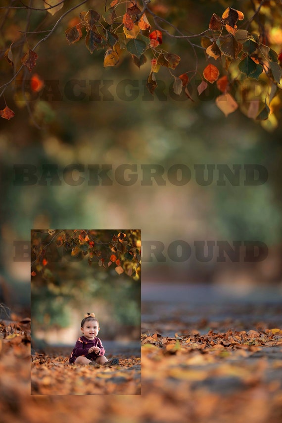 Background Nature - Etsy